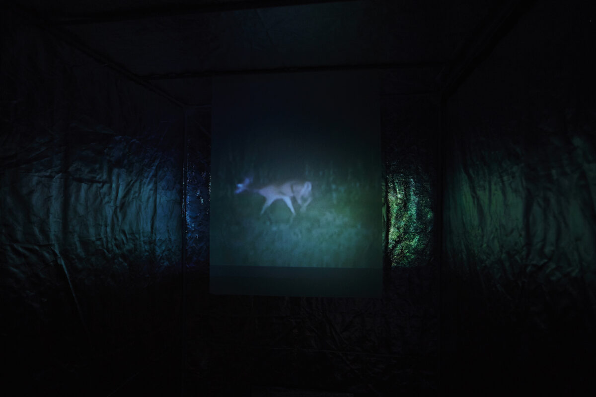 Kate Fahey | Leitrim Sculpture Centre